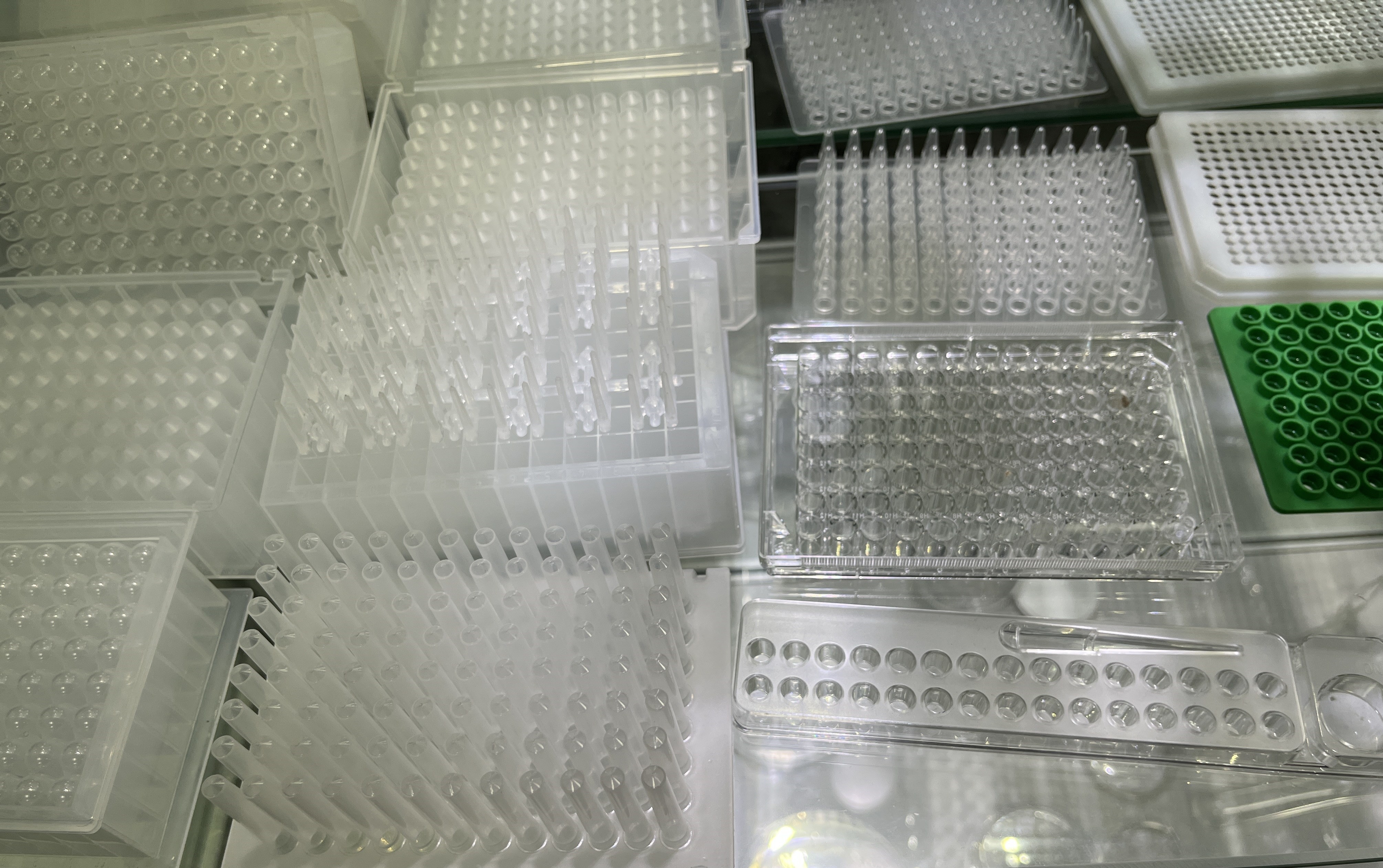 Laboratorio de plástico goteador pipeta molde de múltiples cavidades ...
